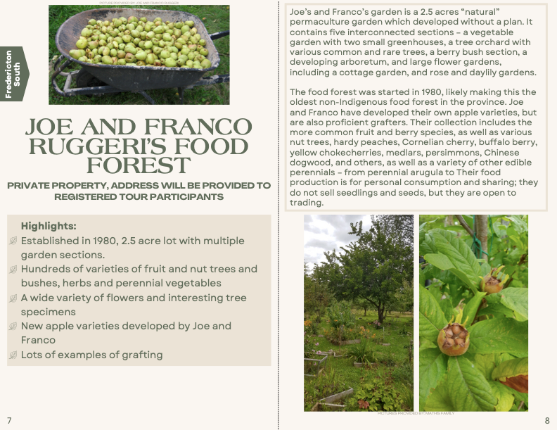 NB Food Forest Tours – Sima's Roots and Fruits